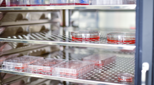 Biological Sample Collection and Storage | Vacc-Safe