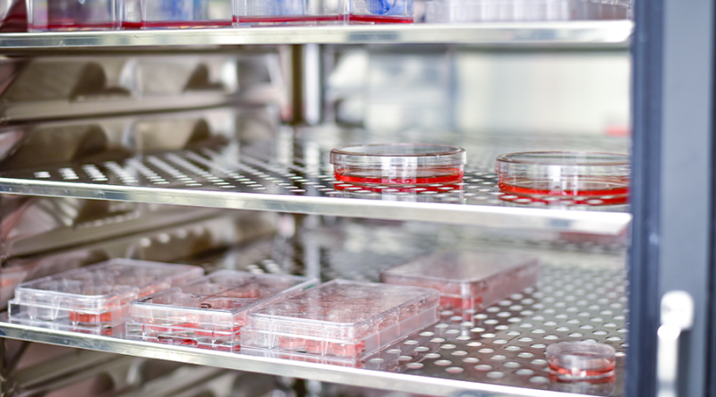 Biological Sample Collection and Storage | Vacc-Safe